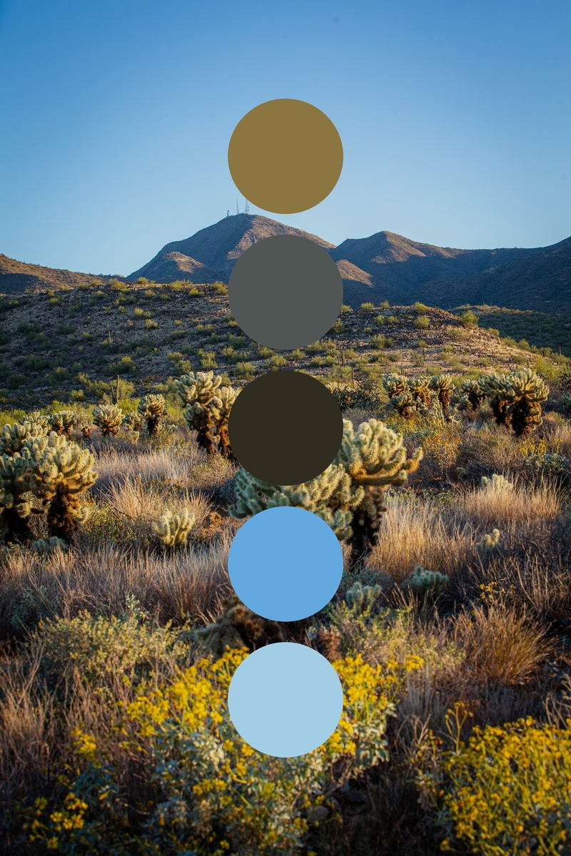 Get color palette inspiration from nature