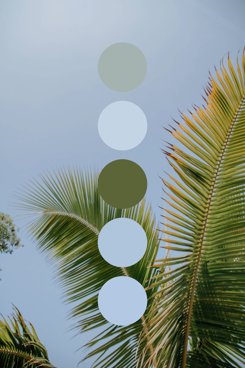 Get color palette inspiration from nature