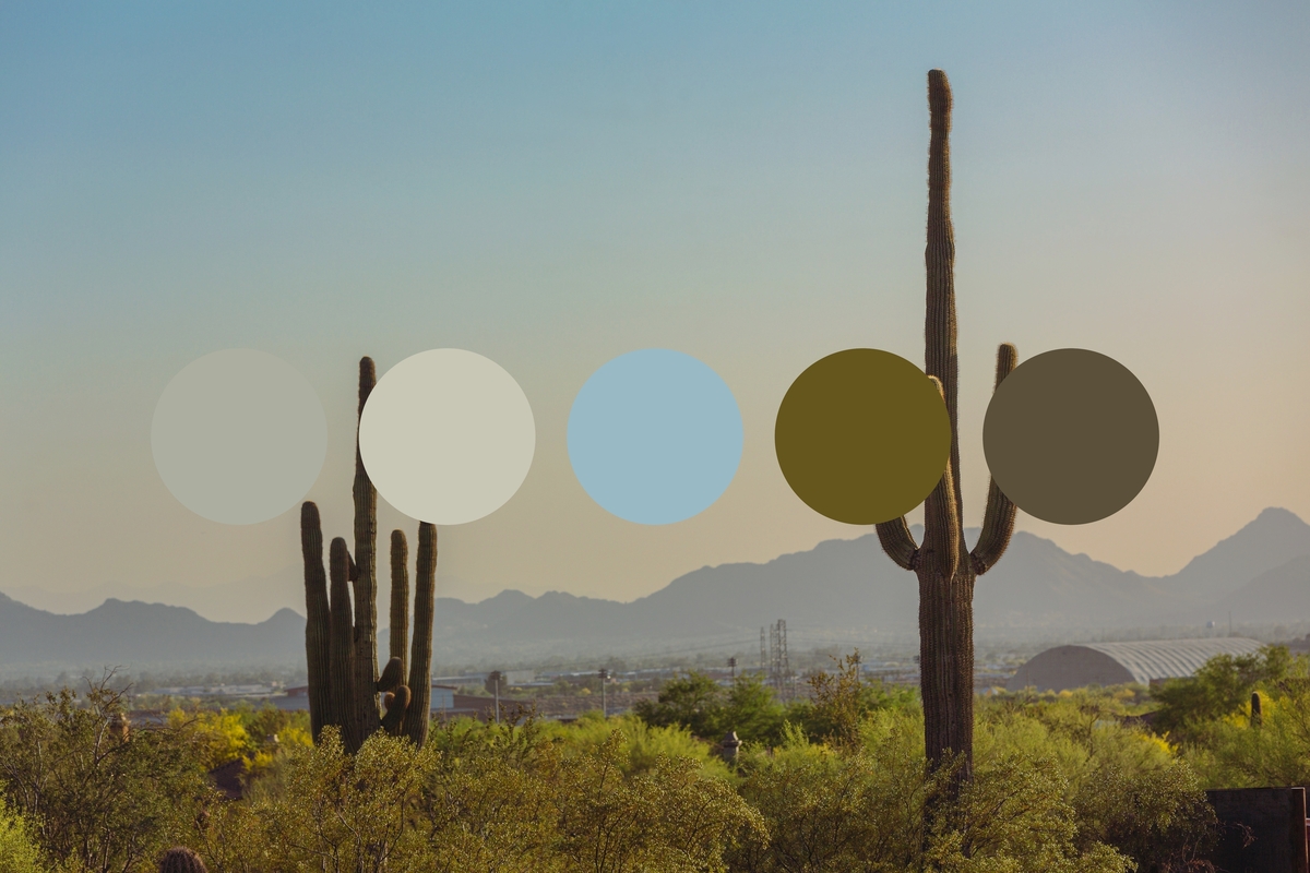 Get color palette inspiration from nature - colorpalettes.earth