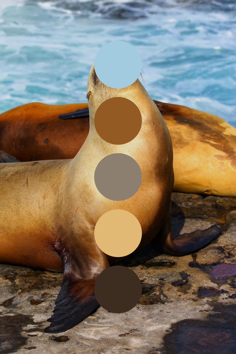 Get color palette inspiration from nature