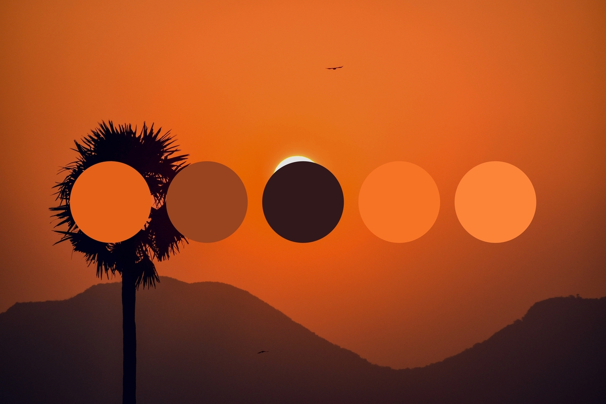 Get color palette inspiration from nature