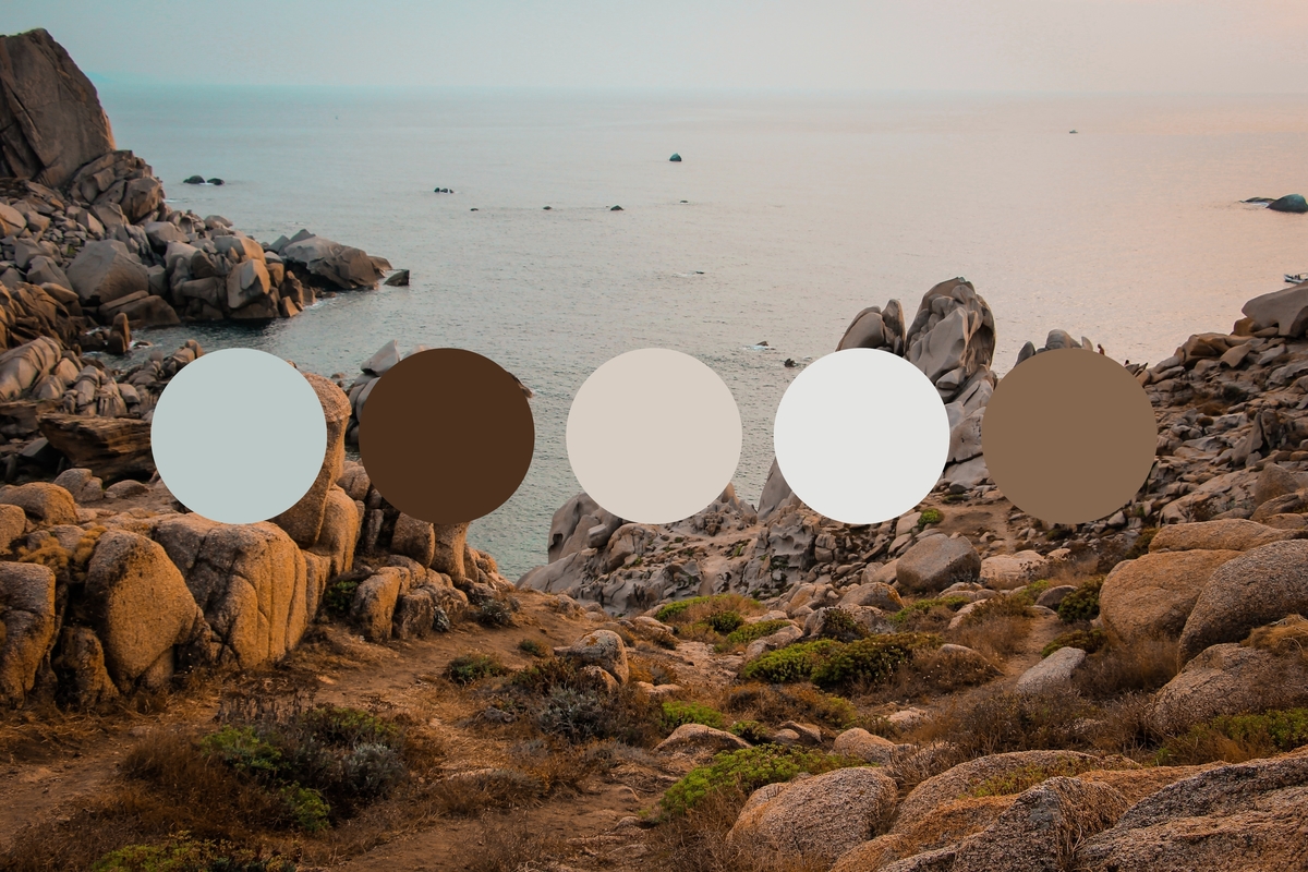 Get color palette inspiration from nature