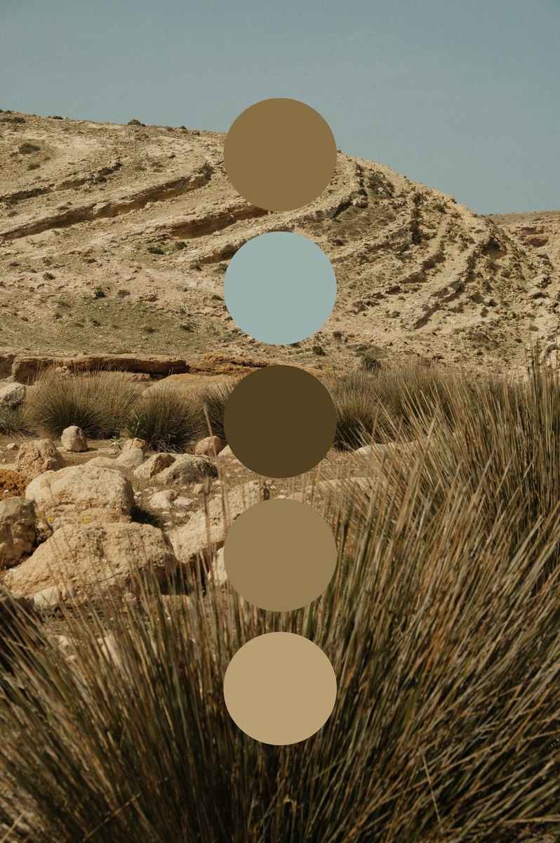 Get color palette inspiration from nature