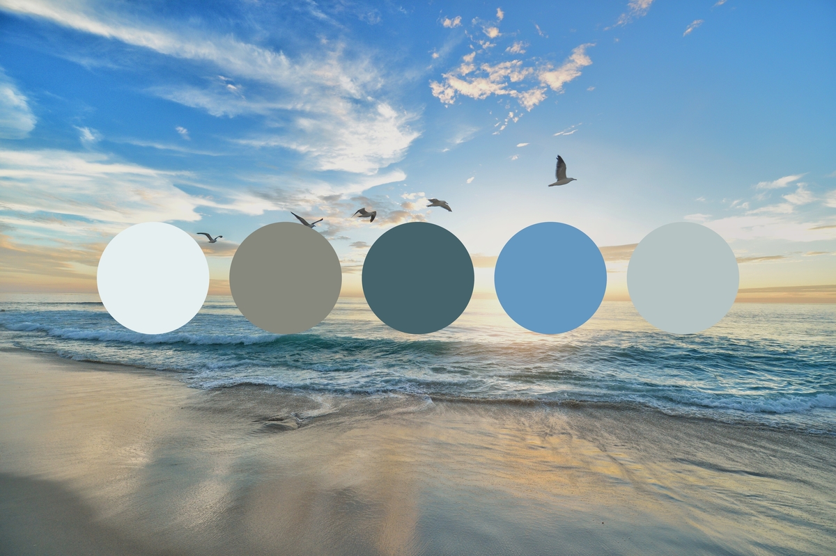 Get color palette inspiration from nature