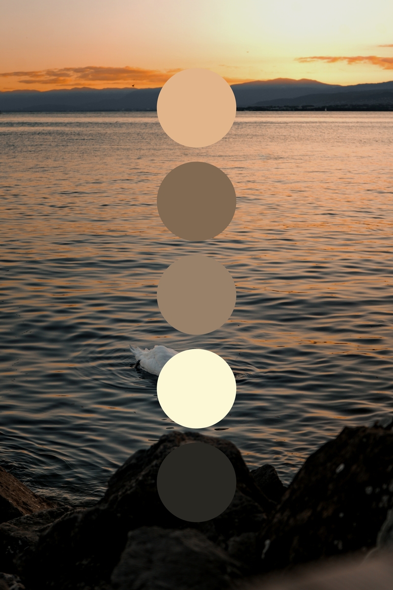 Get color palette inspiration from nature
