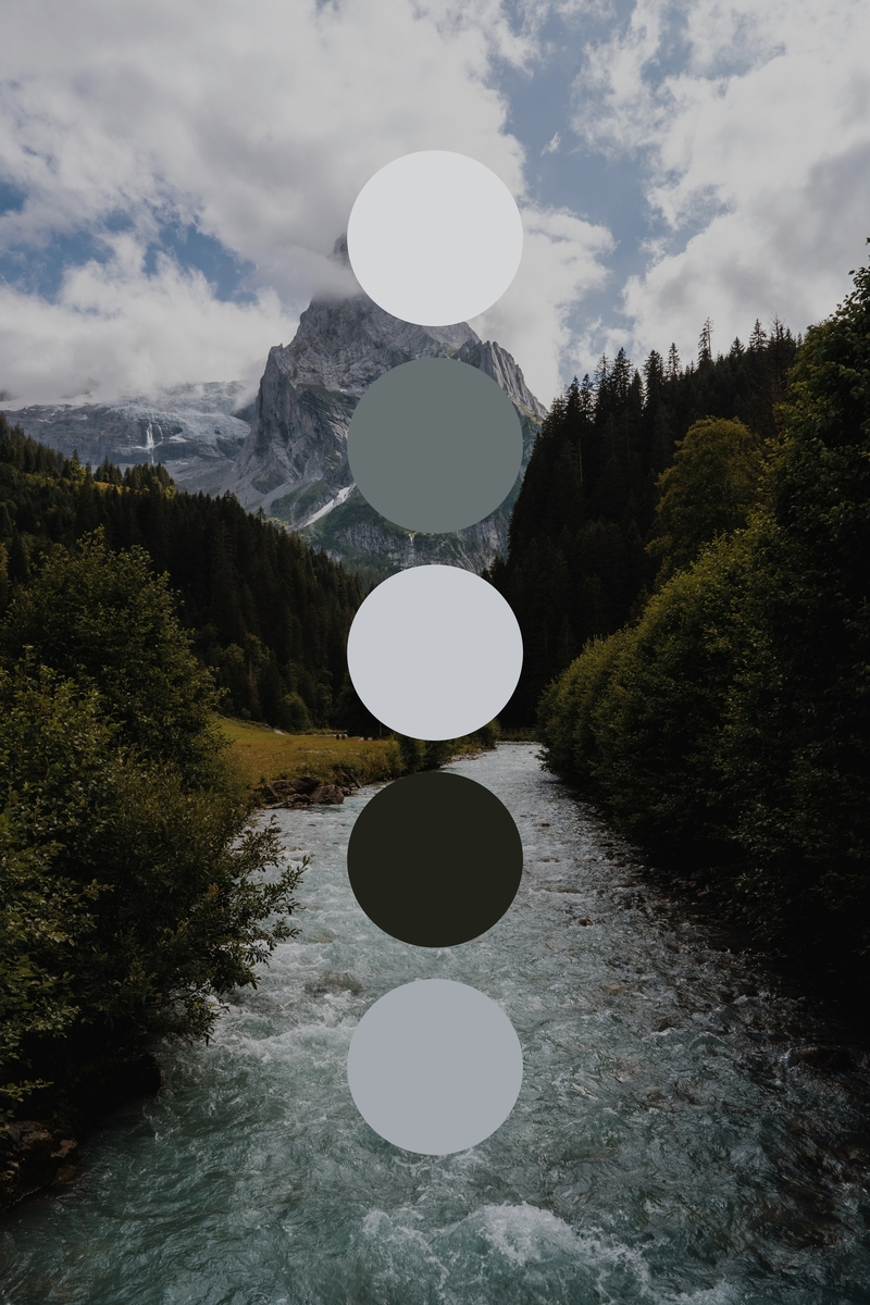 Get color palette inspiration from nature