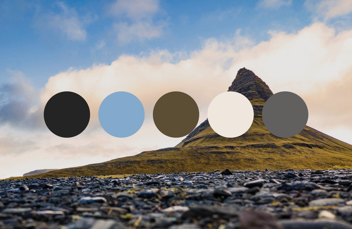 Get color palette inspiration from nature - colorpalettes.earth