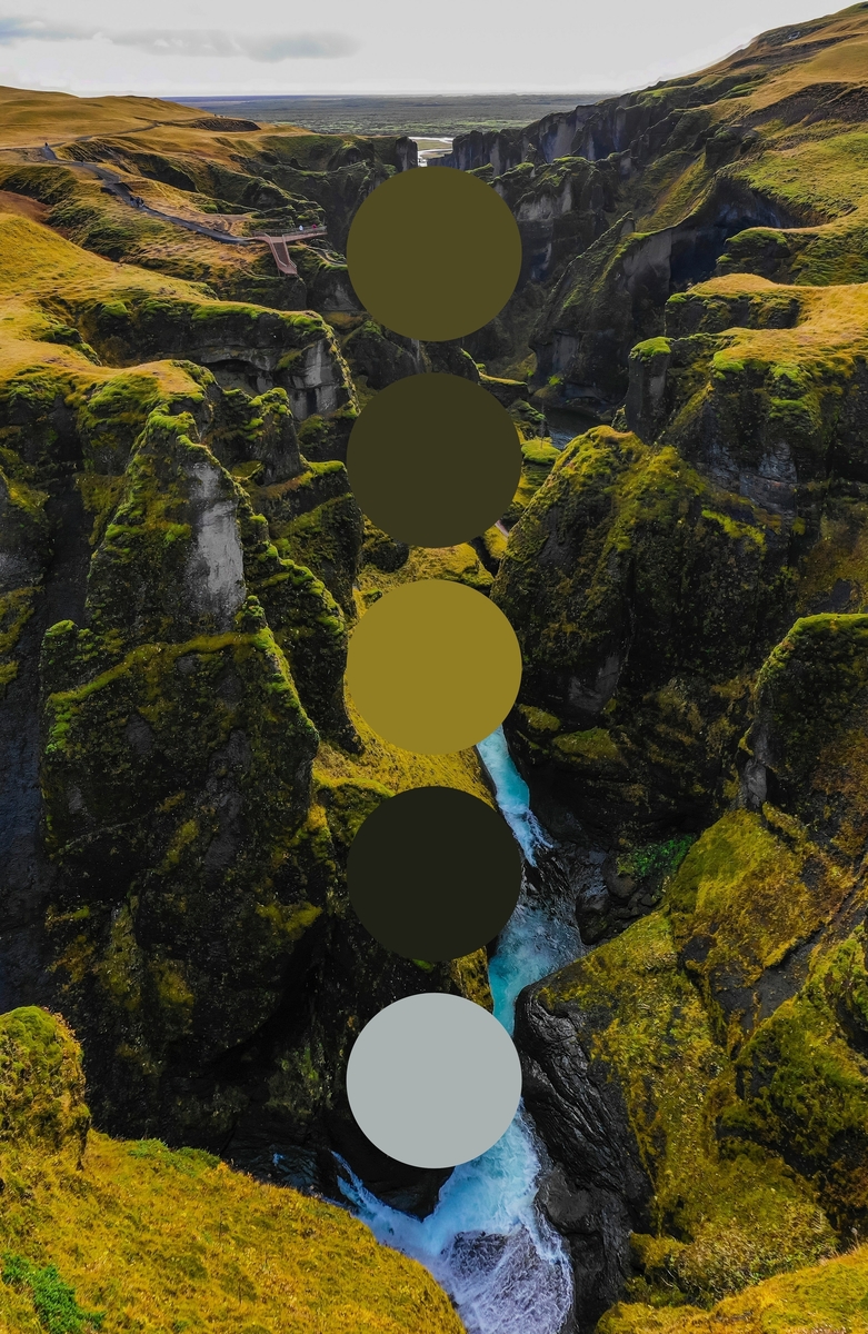 Get color palette inspiration from nature