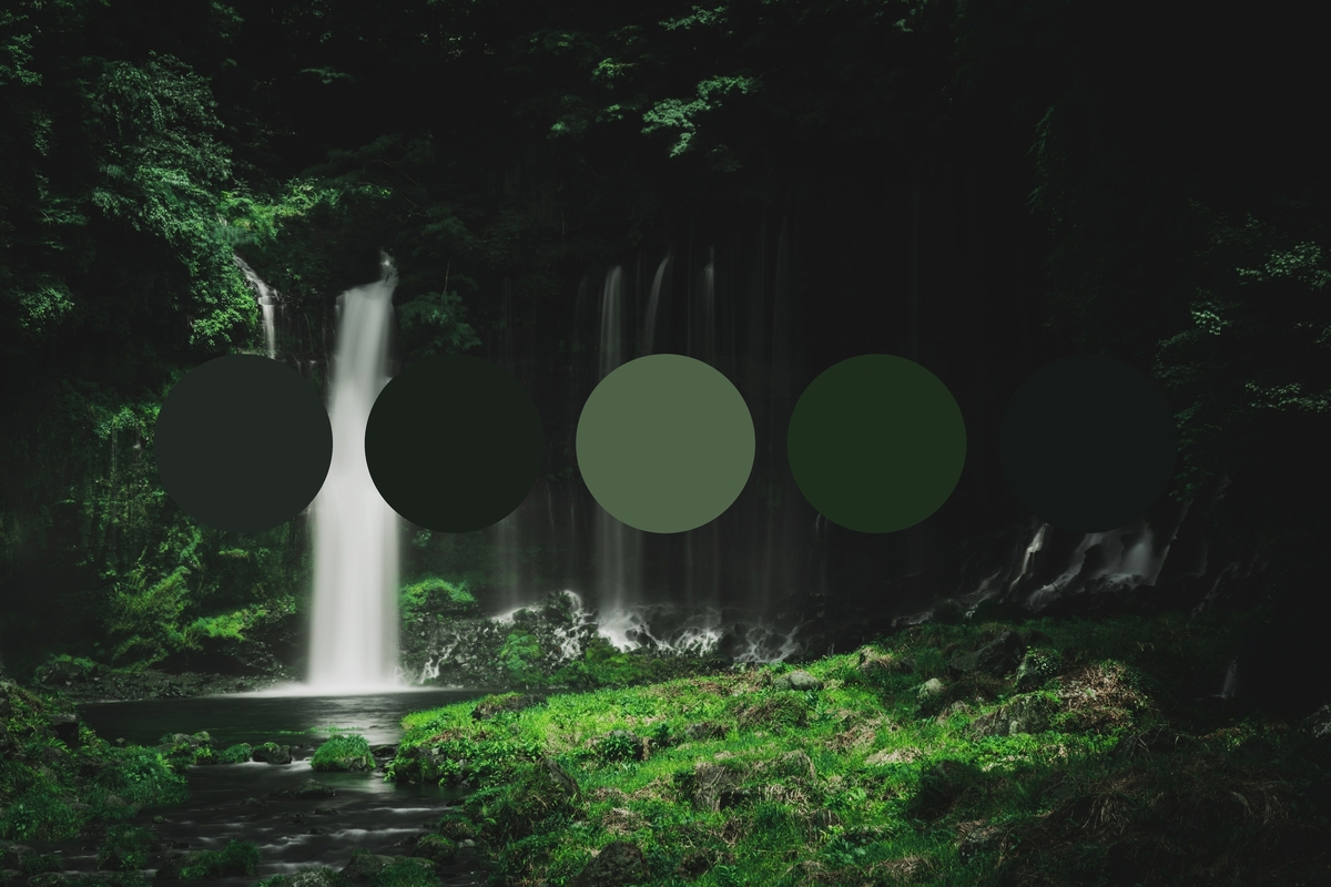 Get color palette inspiration from nature