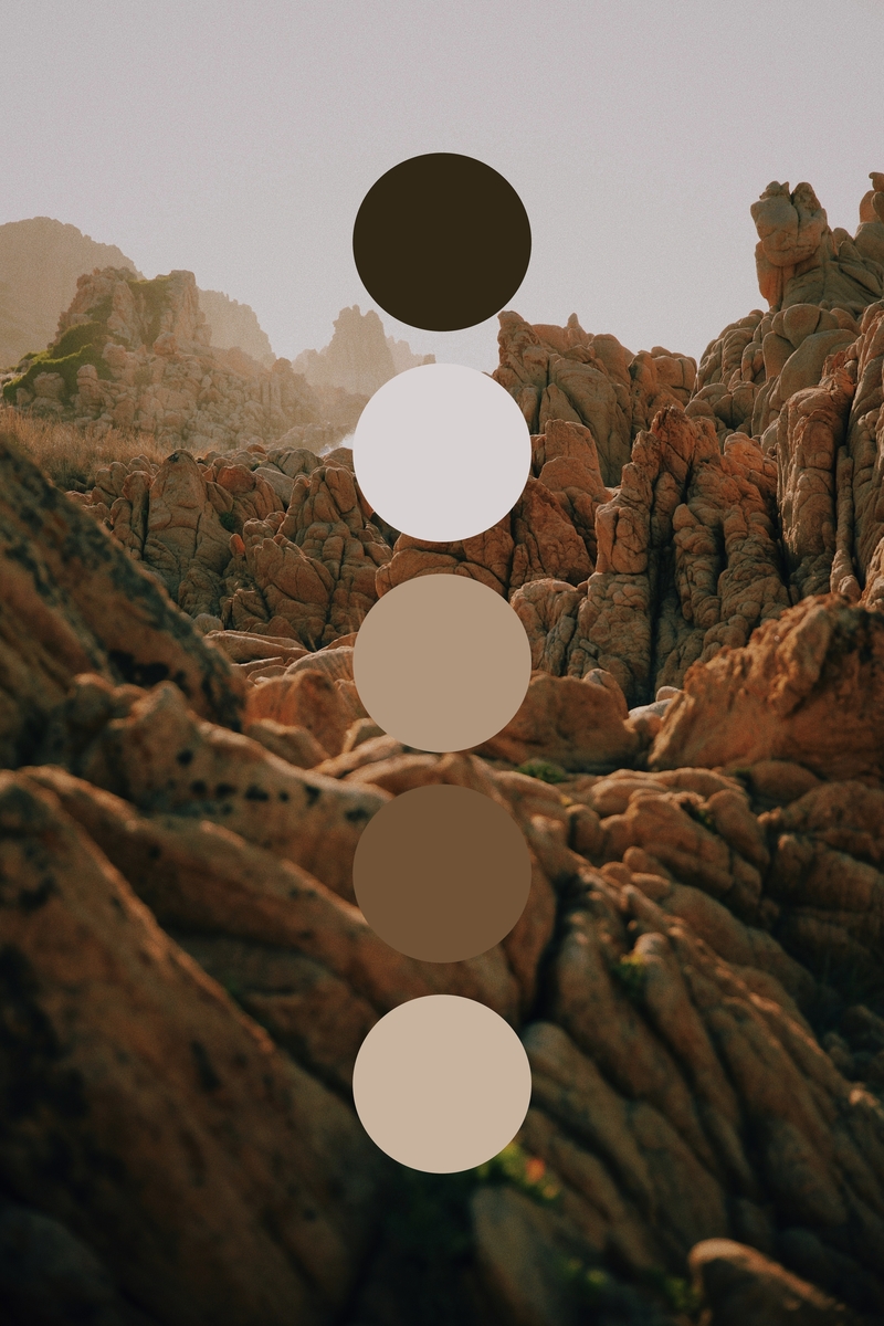 Get color palette inspiration from nature