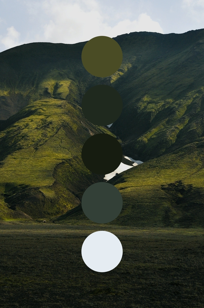 Get color palette inspiration from nature