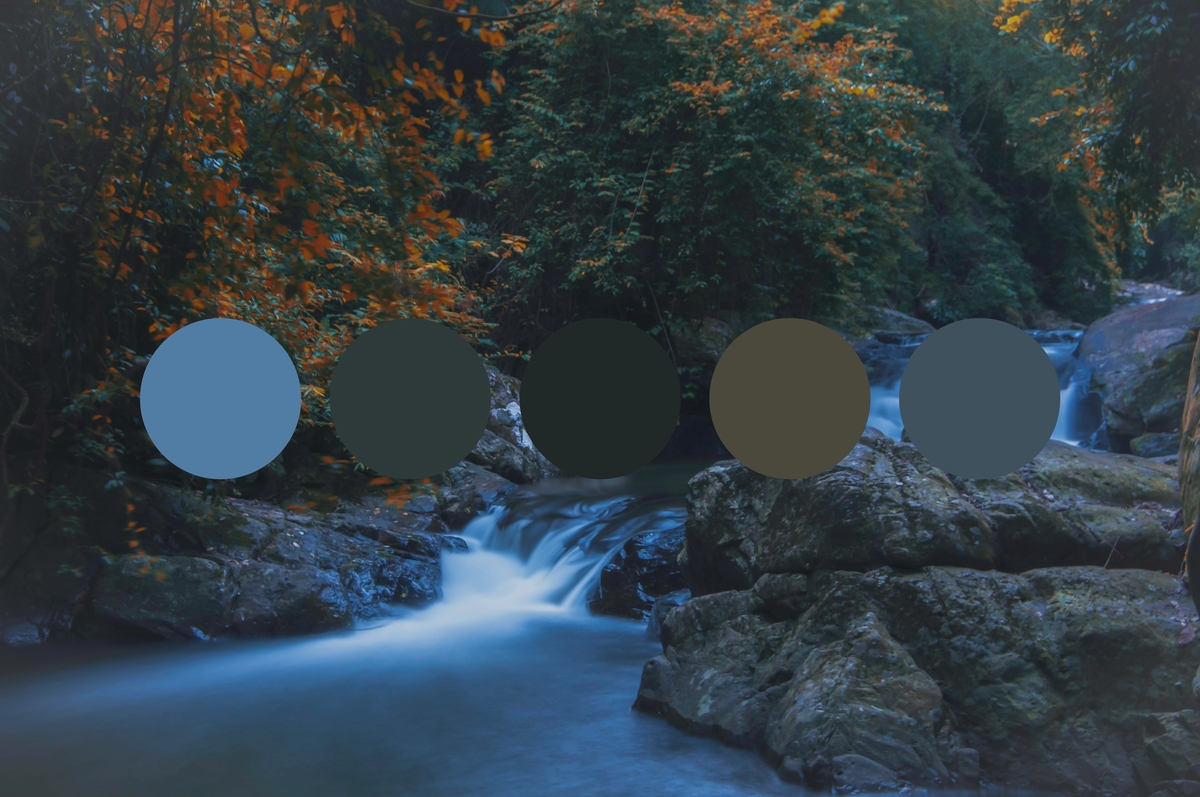Get color palette inspiration from nature