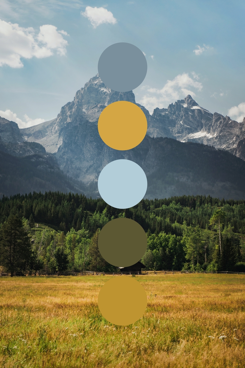 Get color palette inspiration from nature