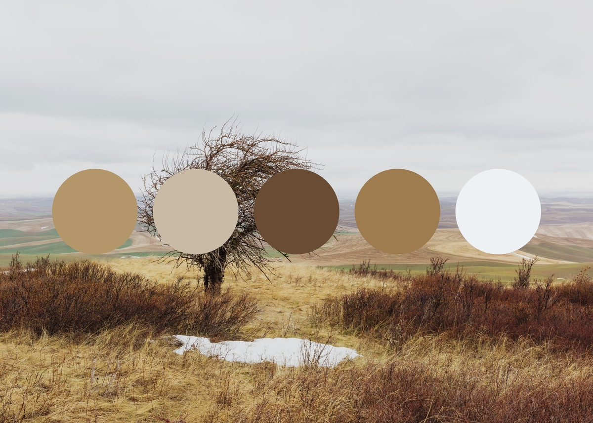 Get color palette inspiration from nature