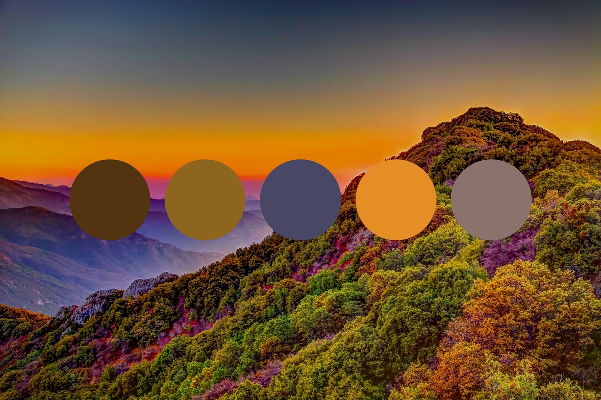 Get color palette inspiration from nature