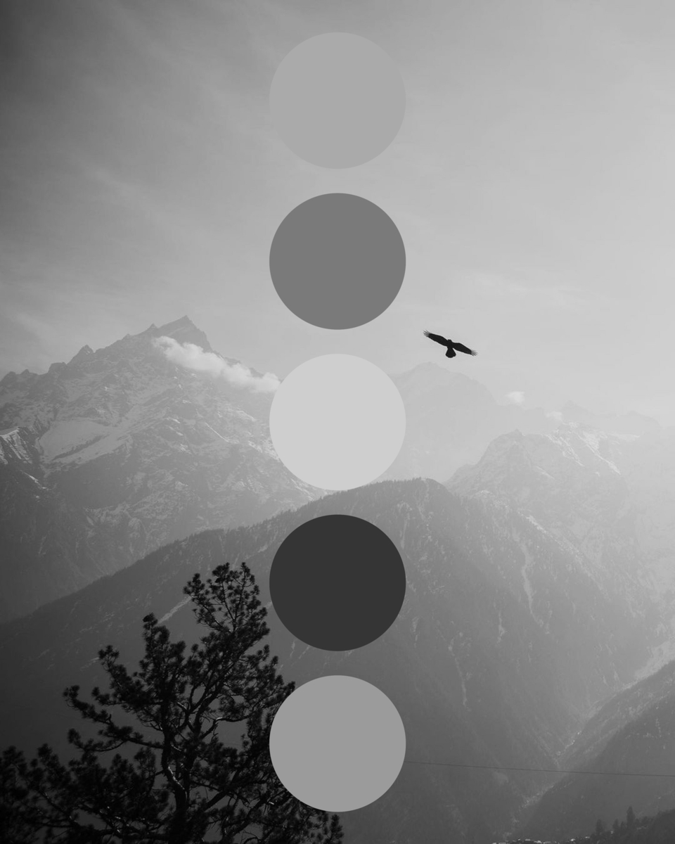 Get color palette inspiration from nature