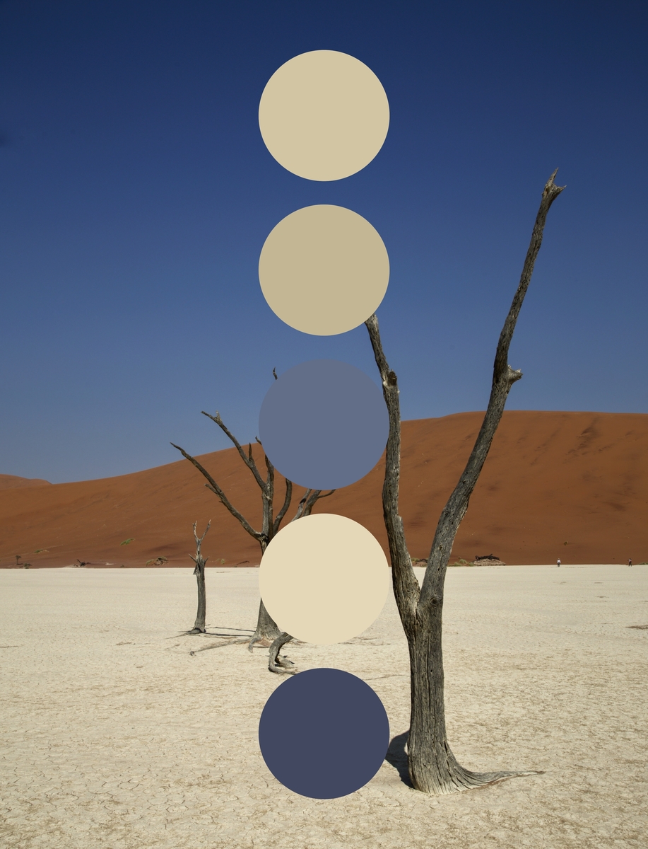 Get color palette inspiration from nature